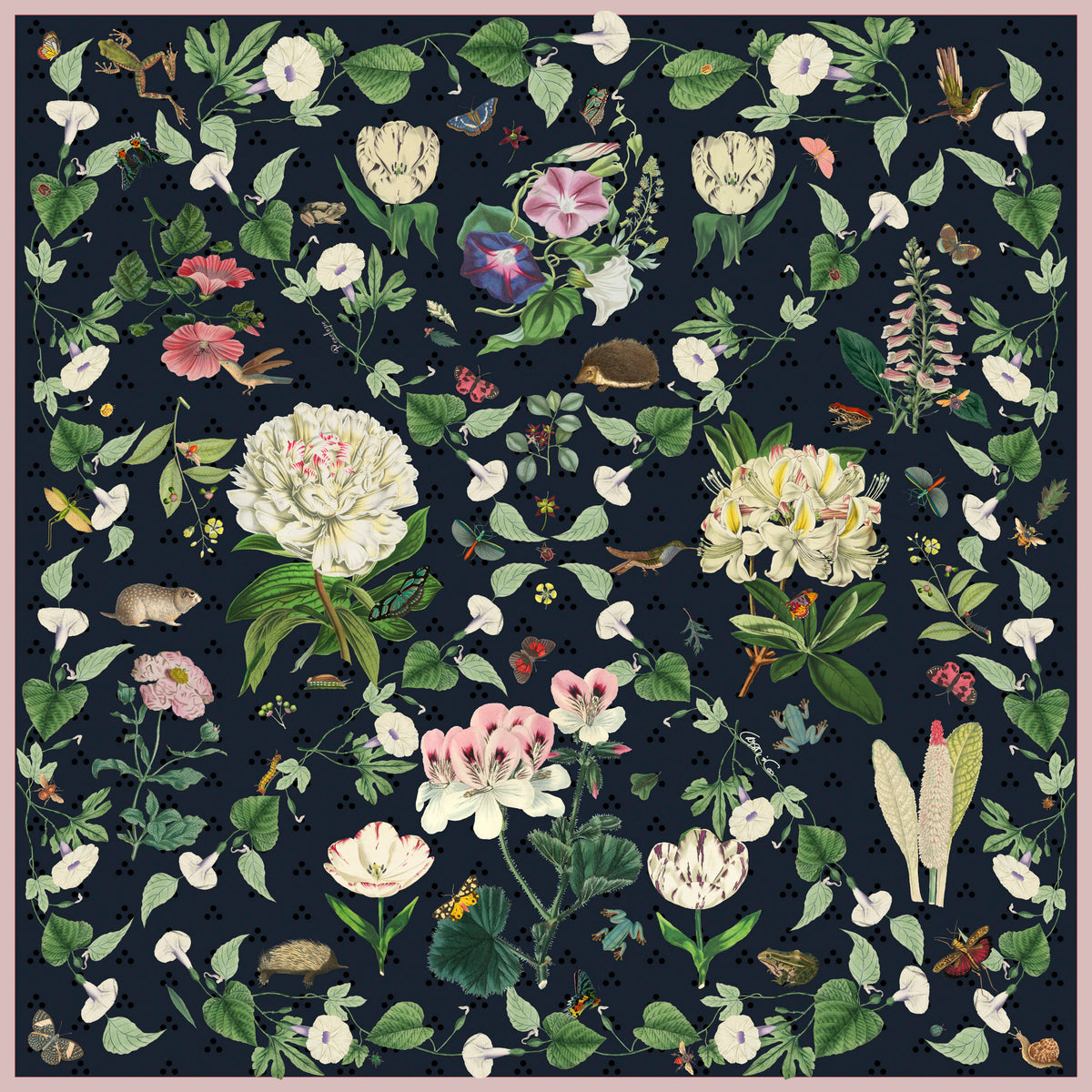 Penelope Scarf – Susan Carson