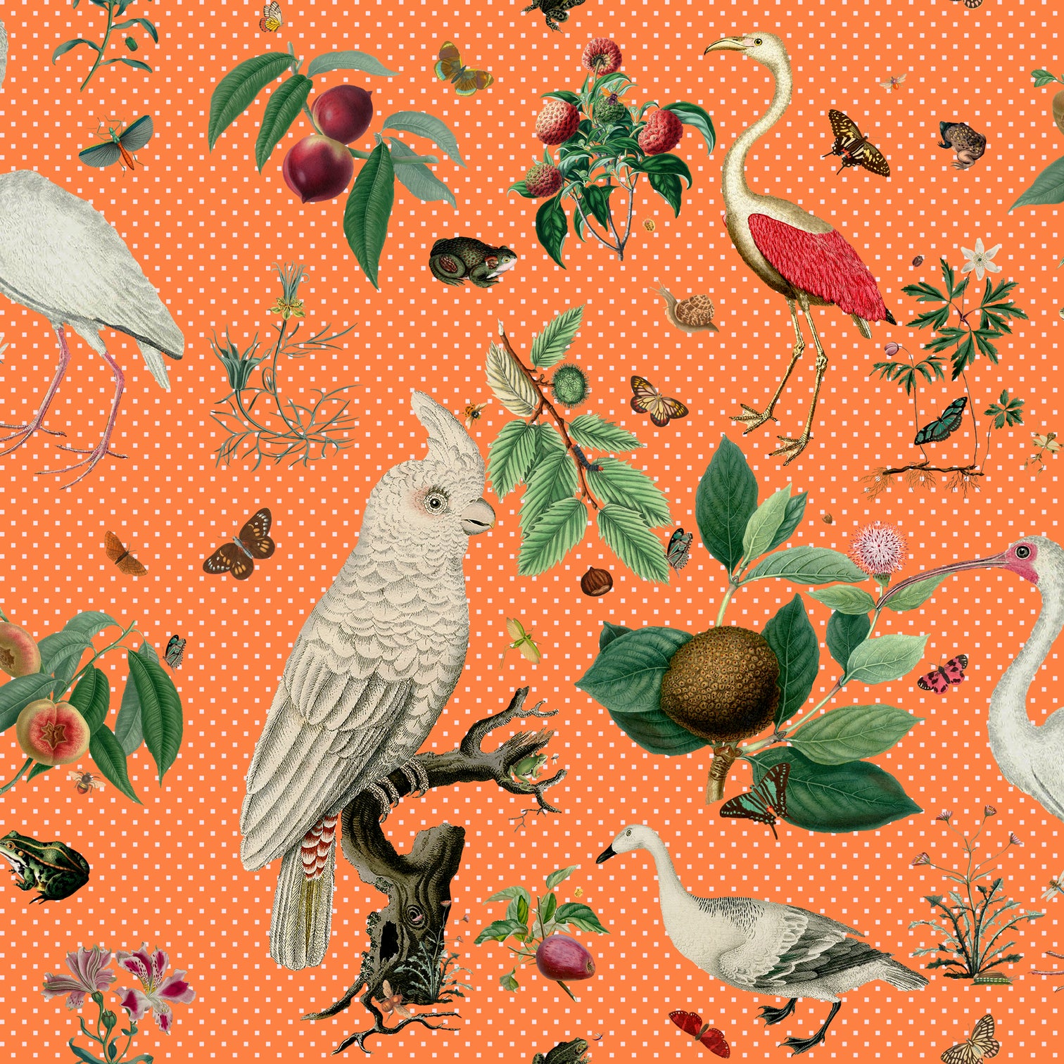 Wallpaper – Susan Carson