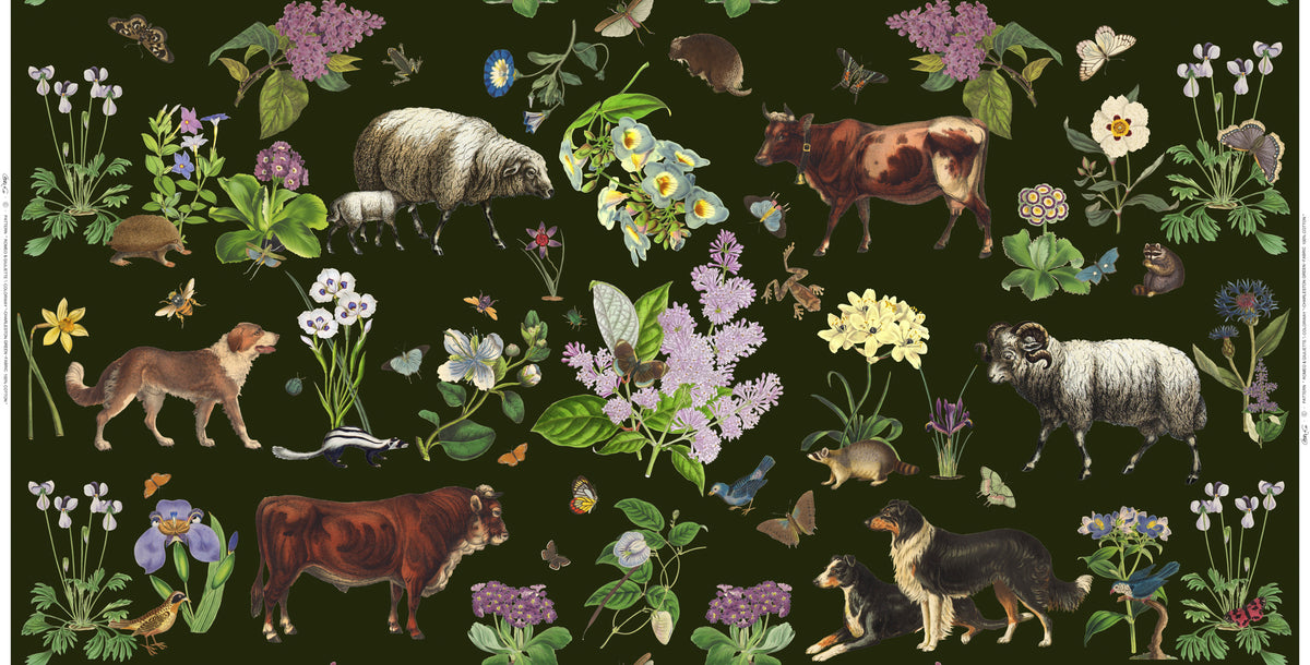 Romeo & Giulietta Fabric – Susan Carson