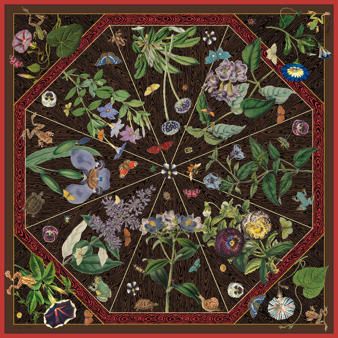 Scarves – Susan Carson