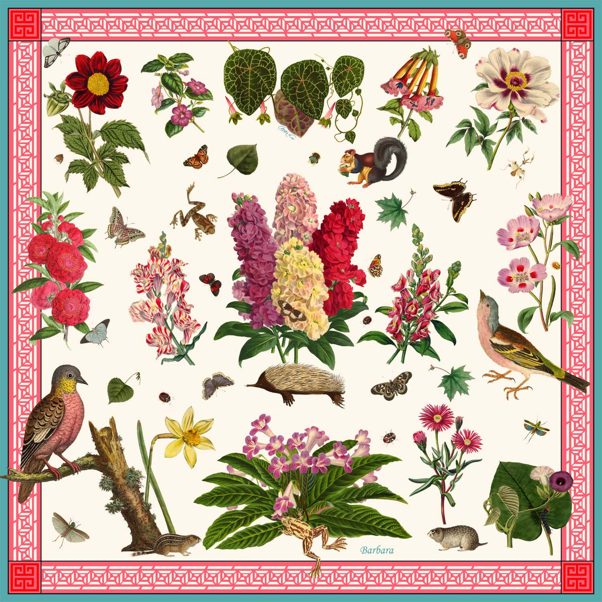 Barbara Scarf – Susan Carson