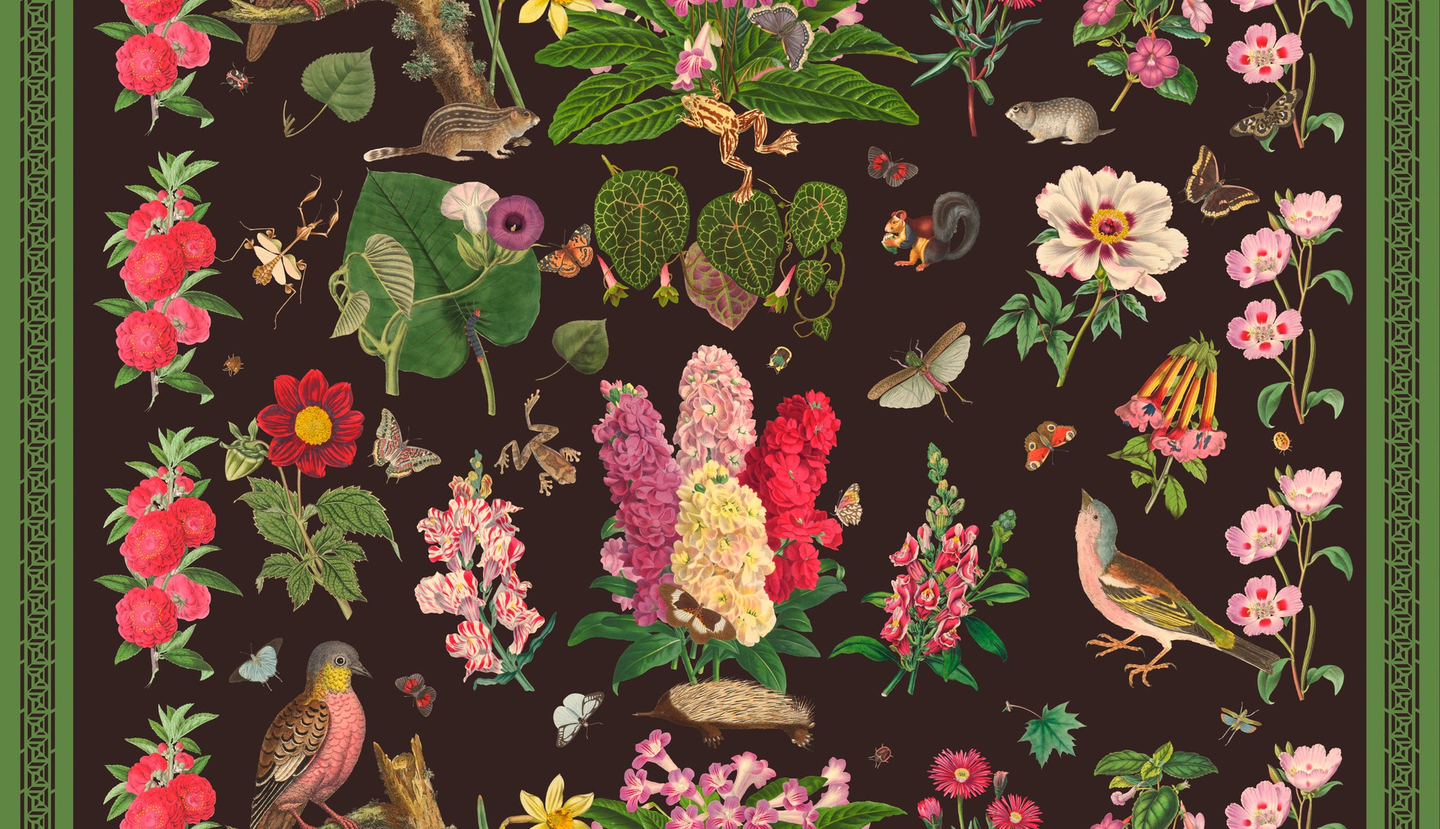 Barbara Fabric – Susan Carson