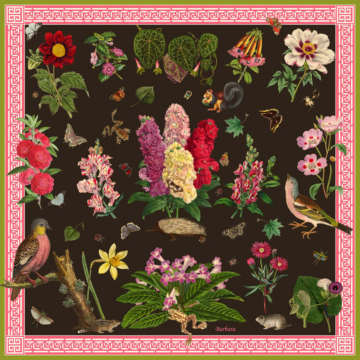 Barbara Scarf – Susan Carson