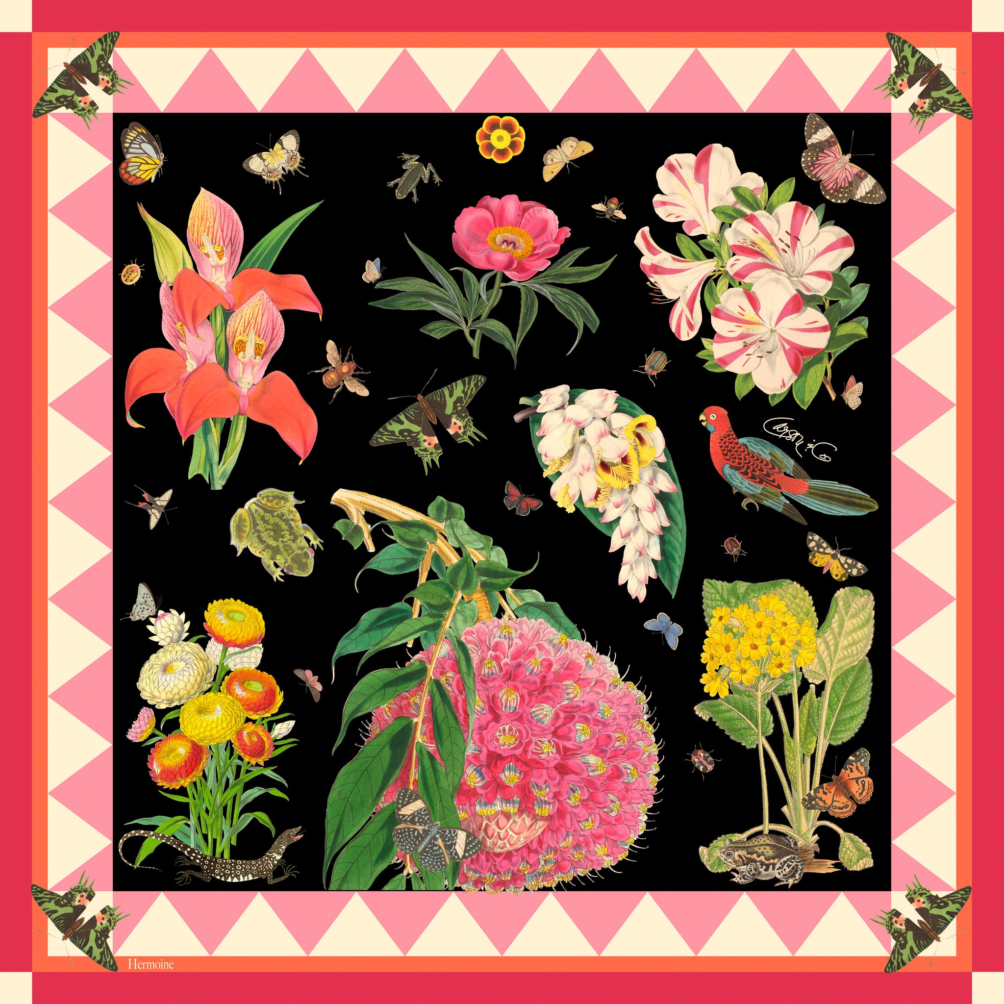 Scarves – Page 6 – Susan Carson